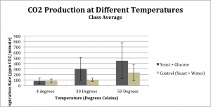 Exploring Cellular Respiration by Measuring CO2 Production