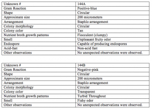 Identification of Unknown Sample 144a and 144b - Odinity