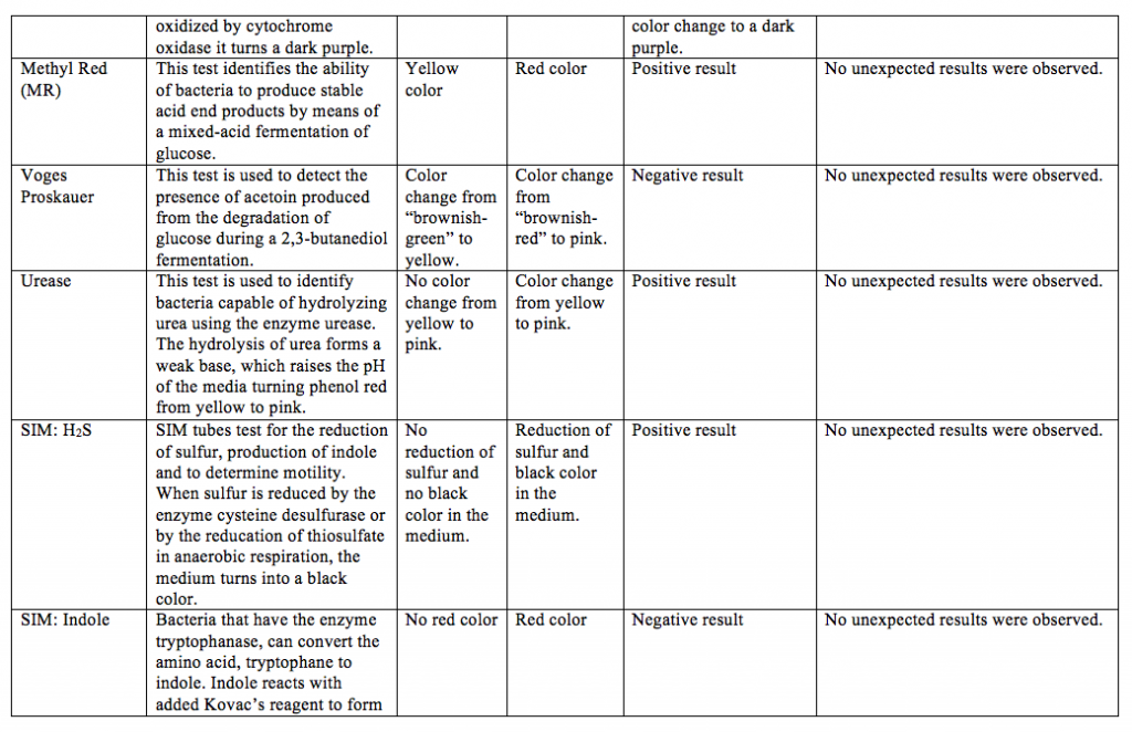 Identification of Unknown Sample 144a and 144b - Odinity
