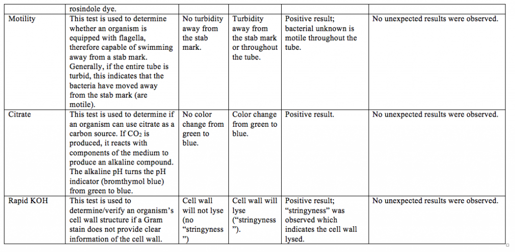 Identification of Unknown Sample 144a and 144b - Odinity
